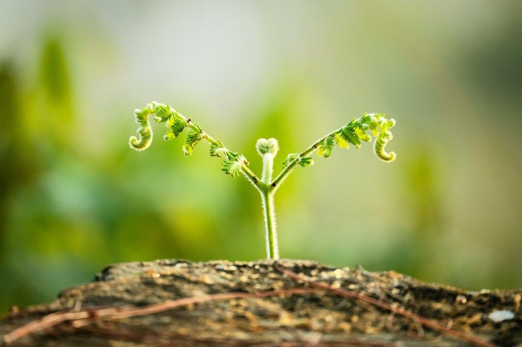 Best Small Cap Stocks in India - High-Growth Picks for 2025 - Daily ...